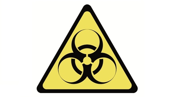 Dasri Logo Ranum Juice Bar: A Vibrant Tropical Visual Identity